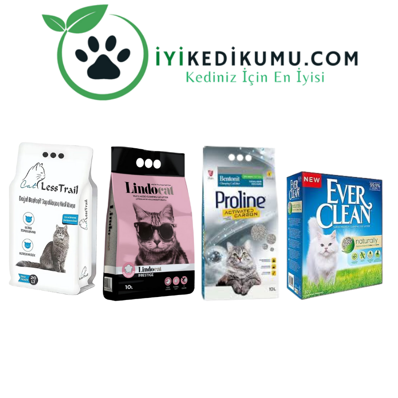 Bentonit Kedi Kumu: Avantajları, Kullanımı ve 2025'in En İyi Markaları
